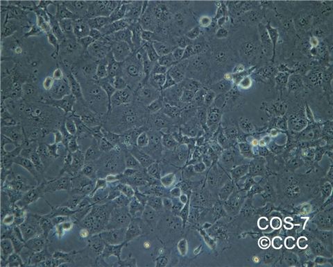 国家实验细胞资源共享平台
