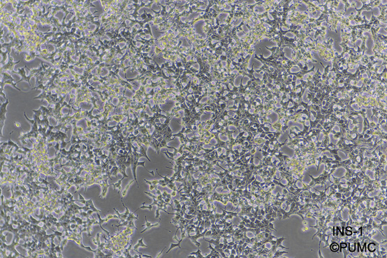 国家实验细胞资源共享平台